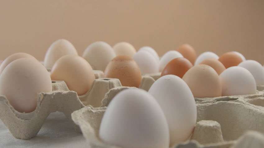 The Nutritional Value of Eggs | Health Choices First